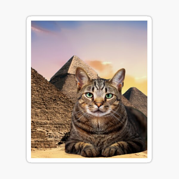 "Surreal photos with giant cats in the Pyramids of Giza. Catzilla ...