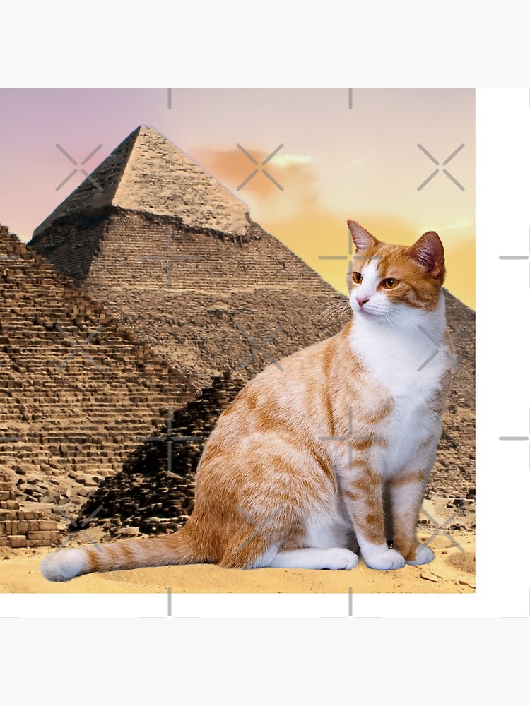 "Surreal photos with giant cats in the Pyramids of Giza. Catzilla ...