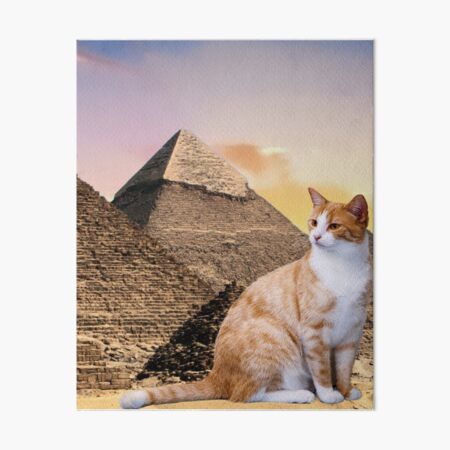 "Surreal photos with giant cats in the Pyramids of Giza. Catzilla ...