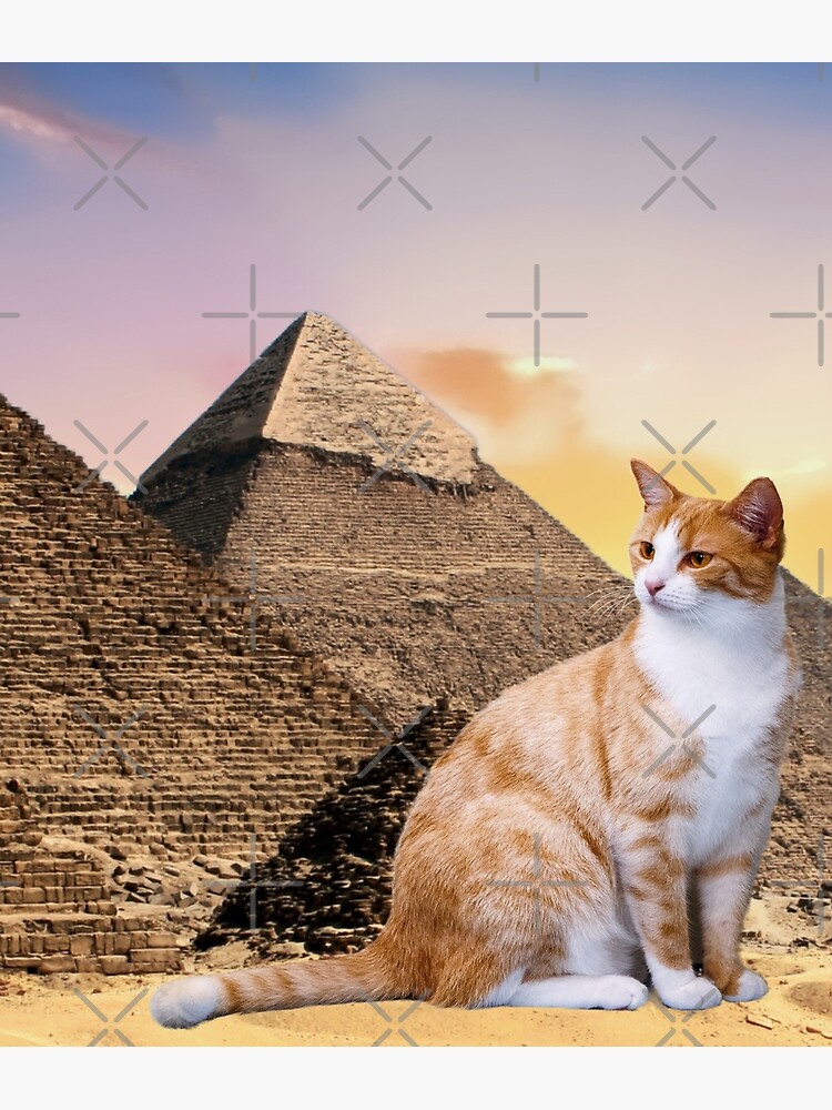 "Surreal photos with giant cats in the Pyramids of Giza. Catzilla ...