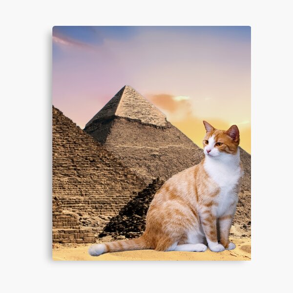 "Surreal photos with giant cats in the Pyramids of Giza. Catzilla ...