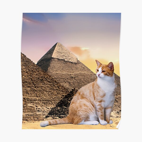 "Surreal photos with giant cats in the Pyramids of Giza. Catzilla ...