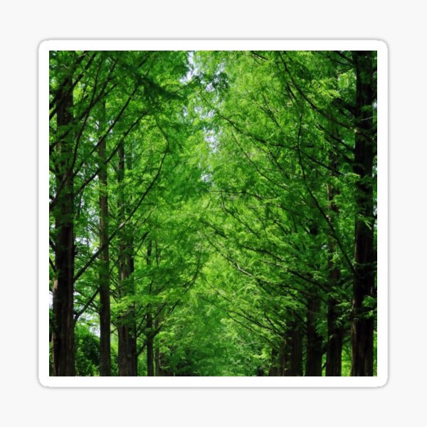 " Let's plant more trees" Sticker for Sale by samahelshaer | Redbubble