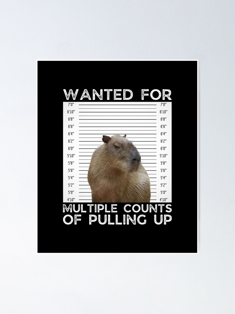 "Capybara Wanted for Multiple Counts of Pulling Up" Poster for Sale by ...