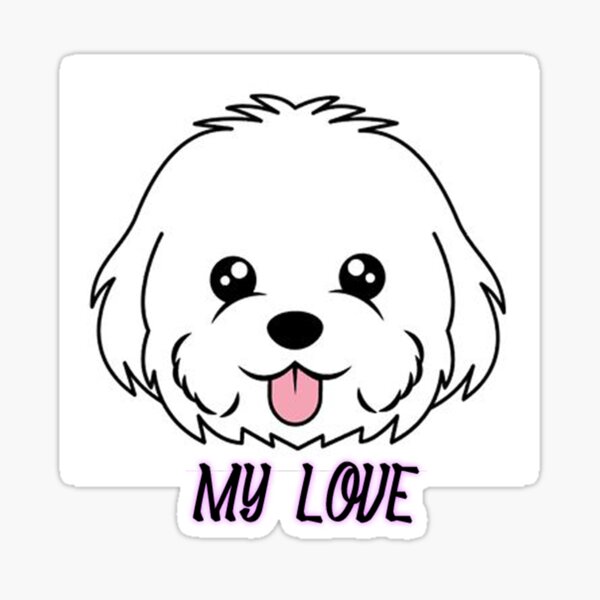"Shichon my loves, Zuchon, Bichon Frise Shih Tzu cross" Sticker for ...