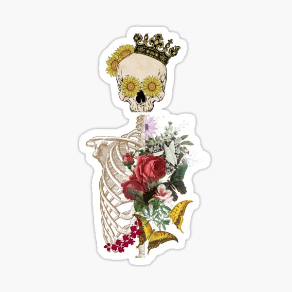 "Skeleton" Sticker for Sale by Siriuslight | Redbubble