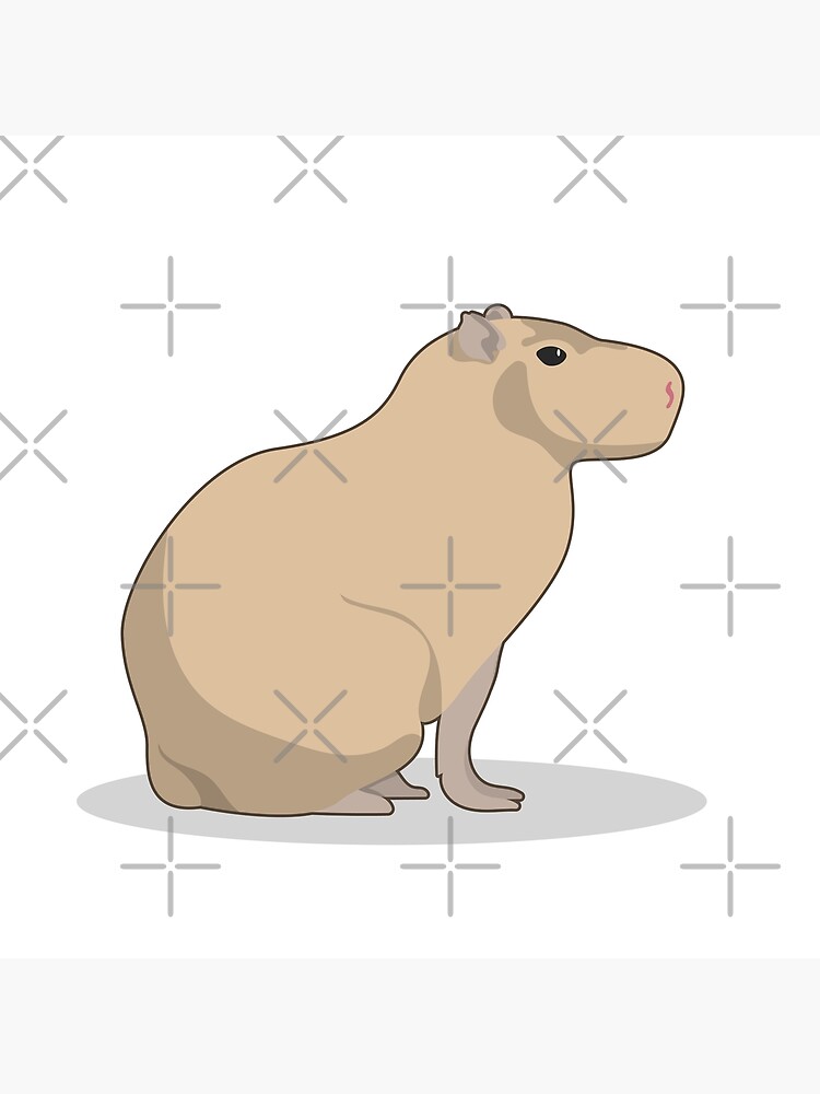 "Cute Capybara" Poster for Sale by MusaDesigns | Redbubble
