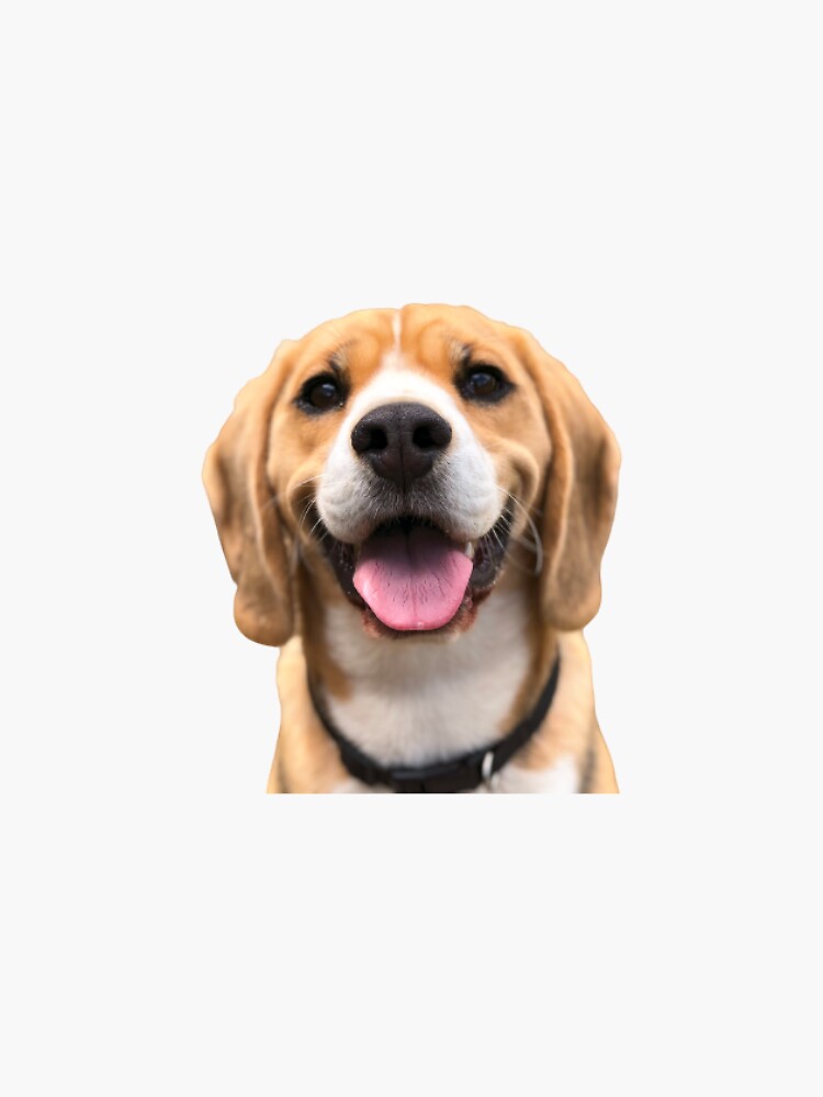 "Cute Dog Face Sticker" Sticker for Sale by Godspiro | Redbubble