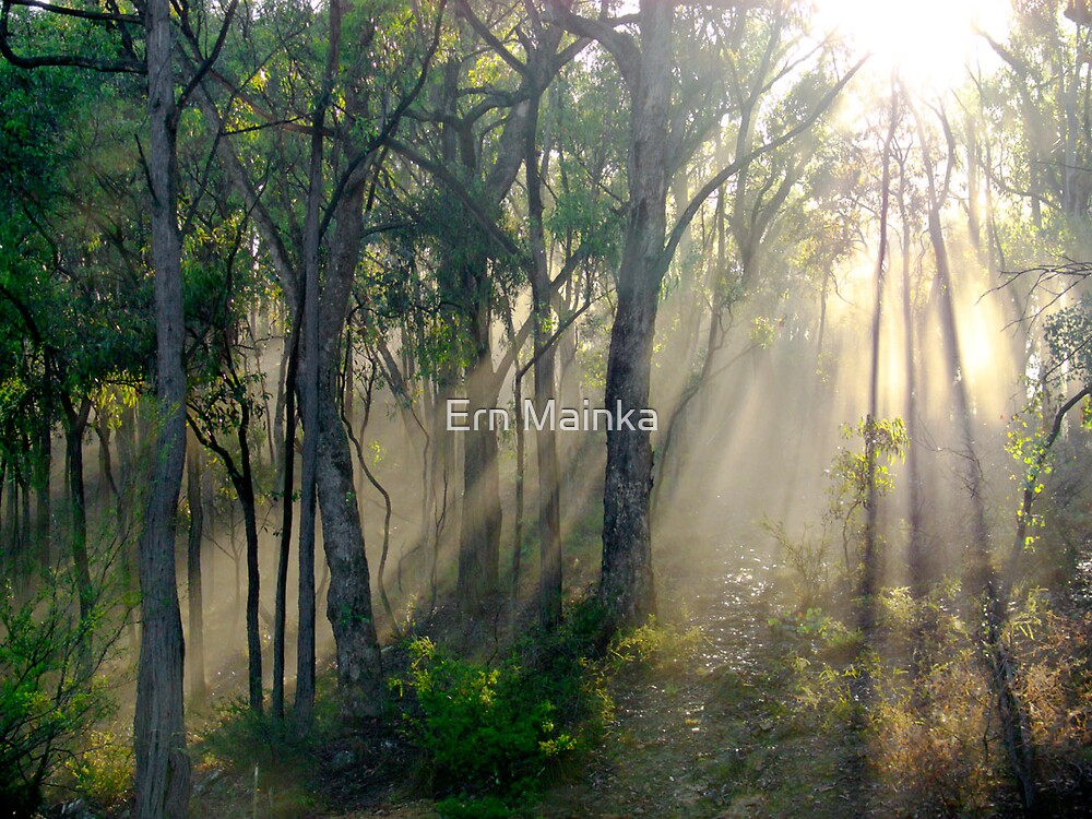 "Box-Ironbark Woodland, Yarra Valley, Victoria, Australia." by Ern ...