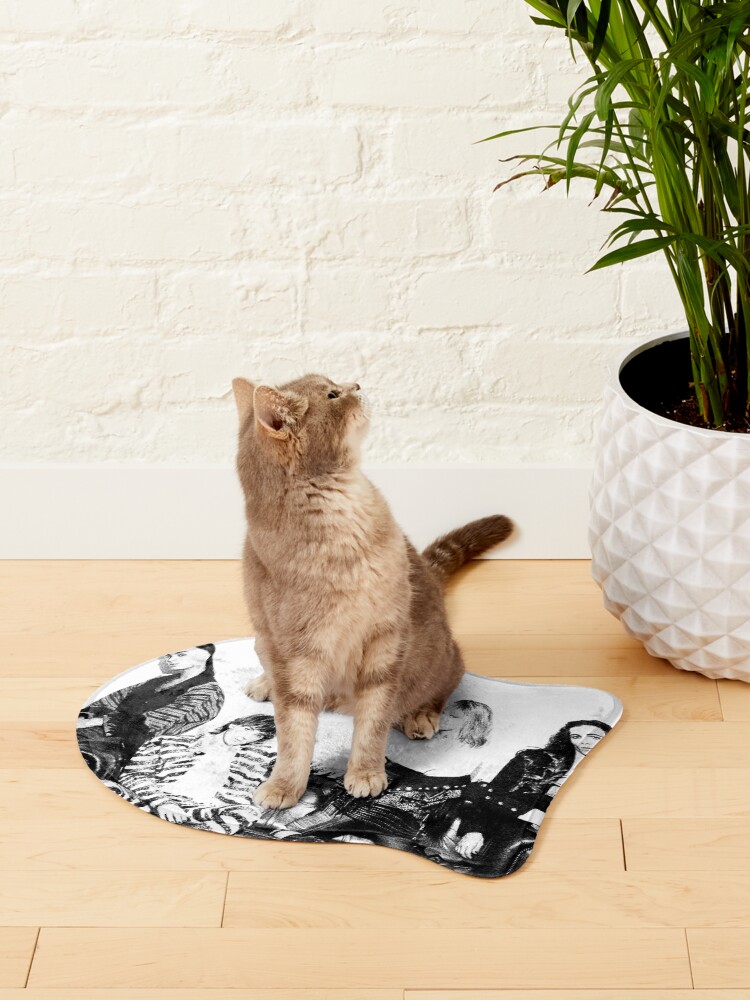 " Maneskin Band Italy Maneskin Victoria Damiano Thomas Maneskin Italy ...