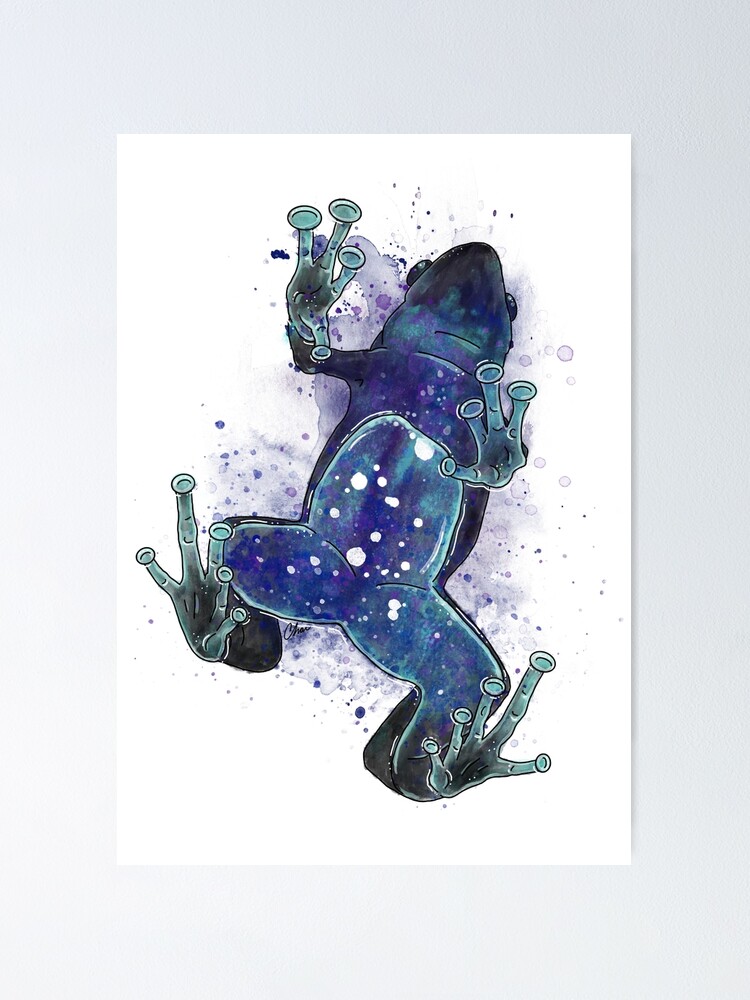 "Frog Belly" Poster for Sale by CharCamp | Redbubble