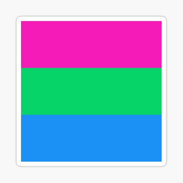 "poly pride flag square" Sticker by morganfm | Redbubble