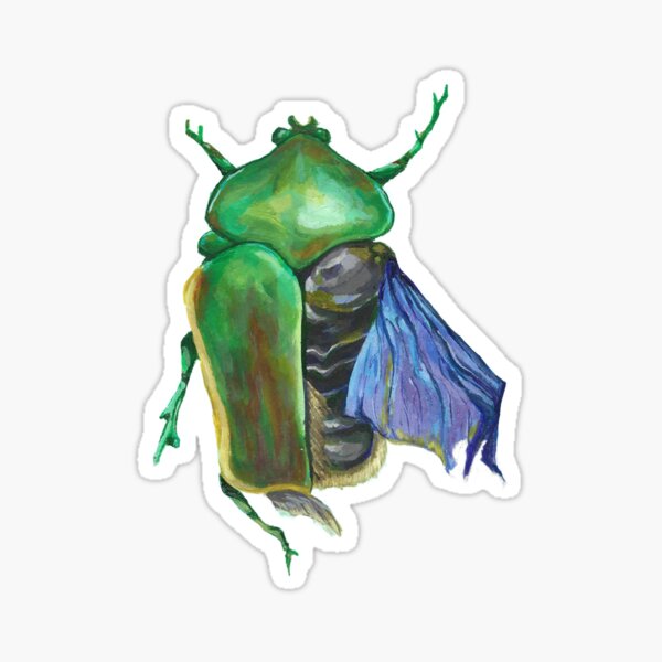 "Dead Junebug" Sticker for Sale by Piloque | Redbubble