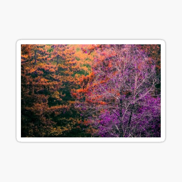 "autumn tree in the forest with purple and brown leaf" Sticker for Sale ...