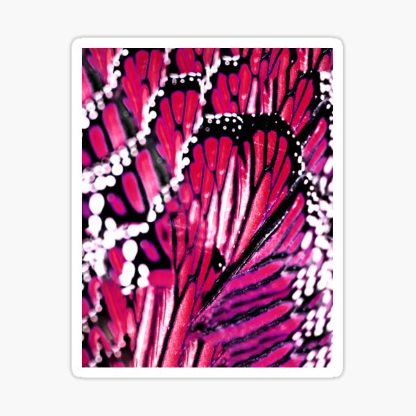 "Magenta Monarch Butterfly Pattern II" Sticker for Sale by ep-pandality ...