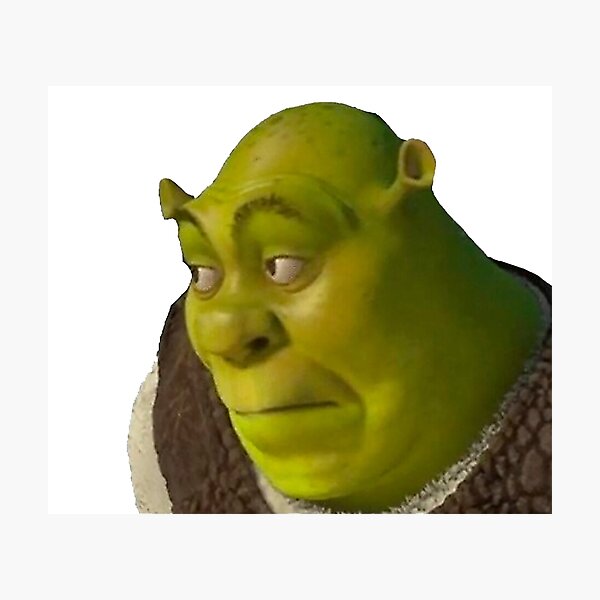 "Shrek meme" Photographic Print for Sale by ameliawilder | Redbubble