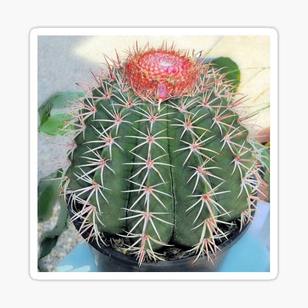 "Watch the Spikes!" Sticker by sagram45 | Redbubble