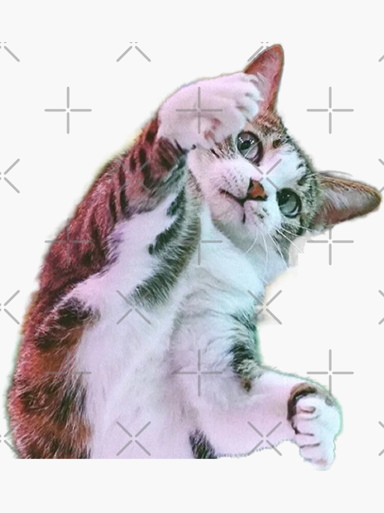 "funny meme cat face " Sticker for Sale by cocomelon28 | Redbubble