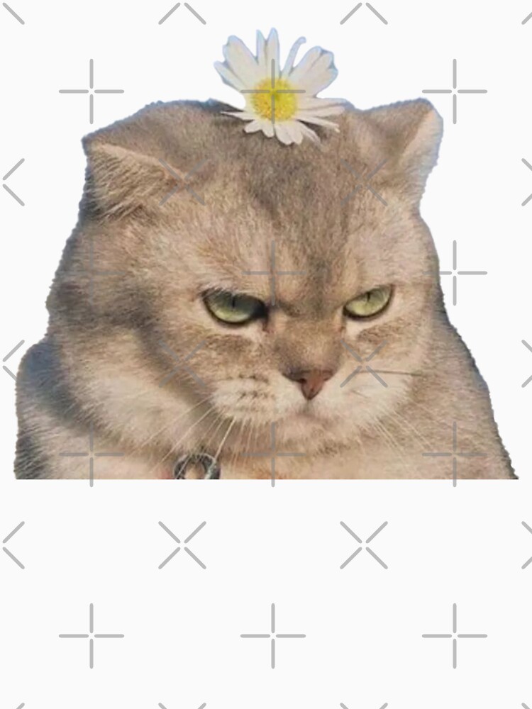 "funny cat troll face sarcastic meme" T-shirt for Sale by cocomelon28 ...