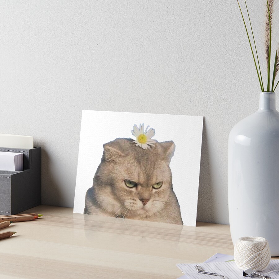 "funny cat troll face sarcastic meme" Art Board Print for Sale by ...