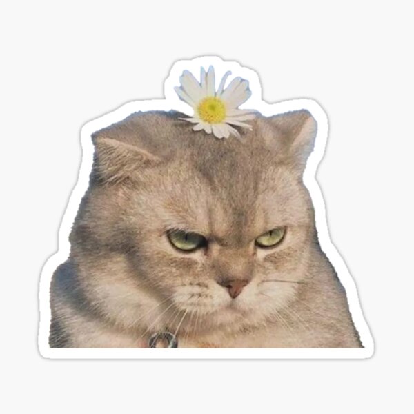 "funny cat troll face sarcastic meme" Sticker for Sale by cocomelon28 ...