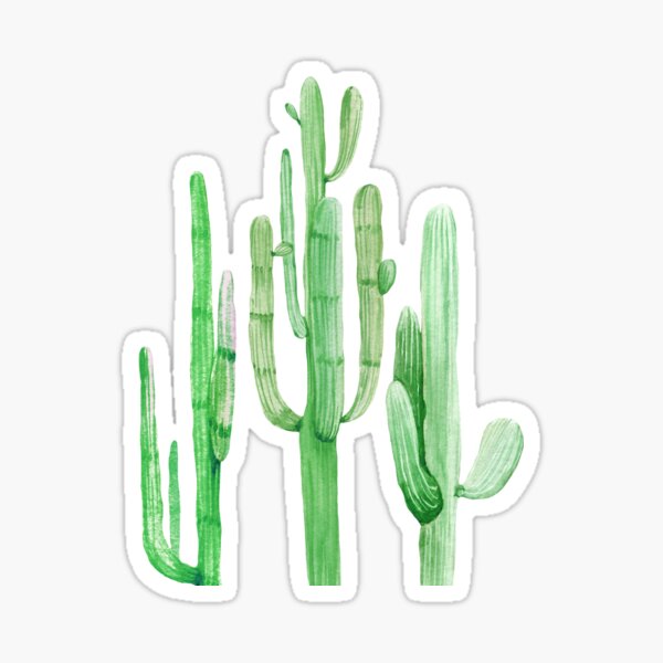 "Trendy Cactus Rosegold Pink and Turquoise Desert Cacti Southwest Decor ...