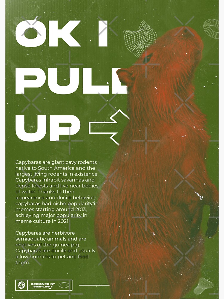 "OK I PULL UP" Sticker for Sale by Simpliffy | Redbubble