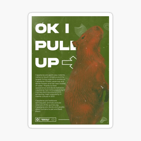 "OK I PULL UP" Sticker for Sale by Simpliffy | Redbubble