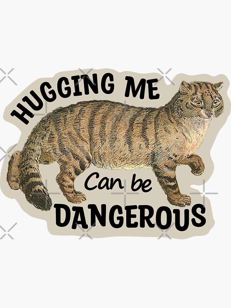 "Hugging me can be dangerous" Sticker for Sale by bolkibox | Redbubble