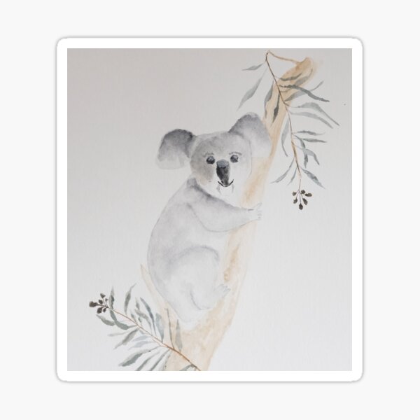 "watercolor koala " Sticker for Sale by Gosborne37 | Redbubble