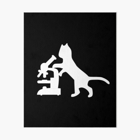 "Microscope Cat - Science Cat, Cat Microbiology, Cat Biology, Cat ...