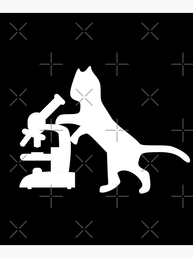 "Microscope Cat - Science Cat, Cat Microbiology, Cat Biology, Cat ...