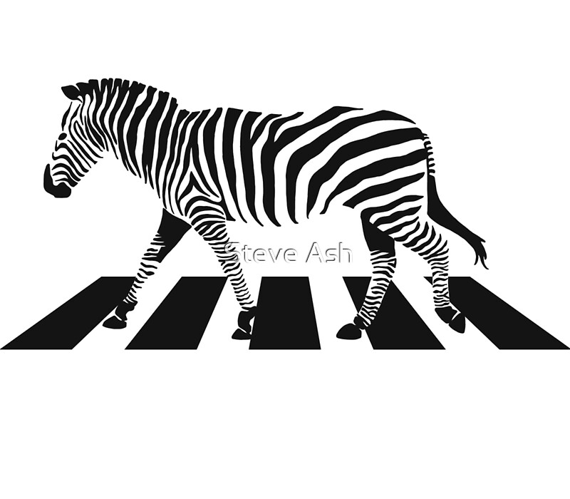"Zebra Crossing" by Steve Ash | Redbubble