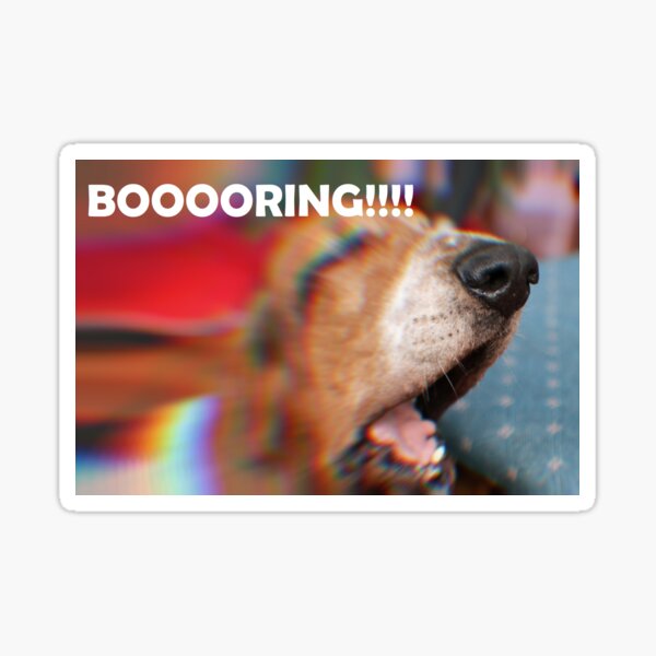 "Bored Dog" Sticker for Sale by Goofy-Dragon | Redbubble
