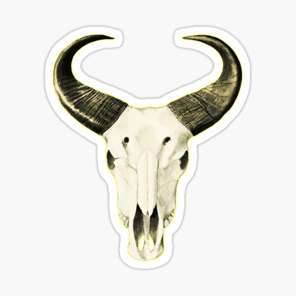 "Bull Skull" Sticker for Sale by WeTheWeird | Redbubble