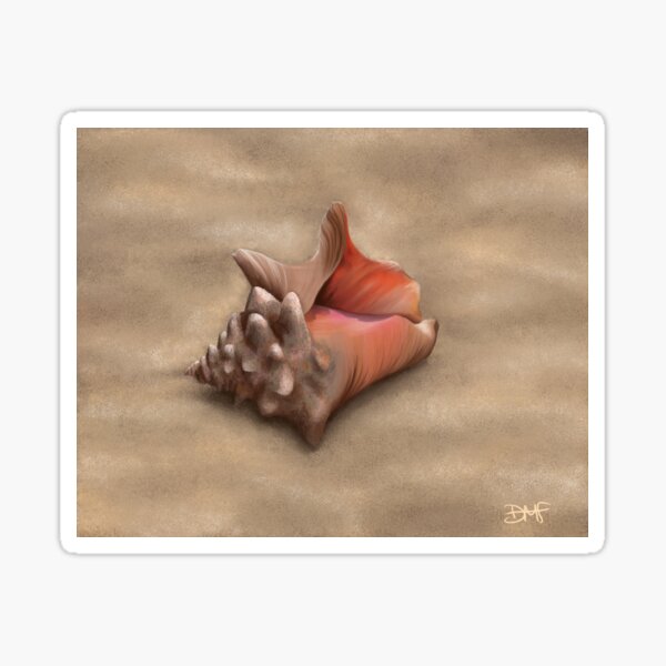"Conch" Sticker for Sale by DMFFineArt | Redbubble