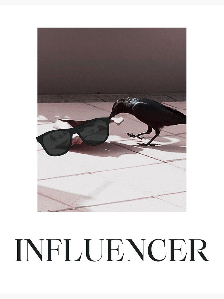 "Influencer Crow" Sticker for Sale by NewPages | Redbubble