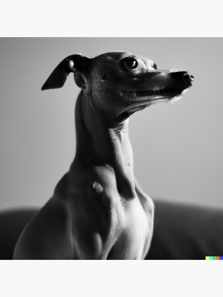 "Gigachad Greyhound" Sticker for Sale by cooldudeprintz | Redbubble