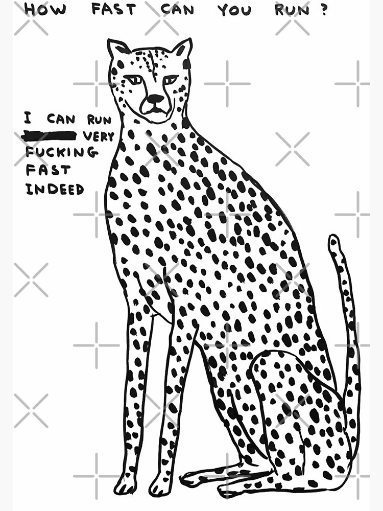 "Fastest Animal In The World" Sticker for Sale by taliakshlerin | Redbubble