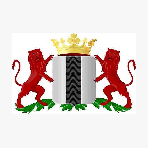 Lámina fotográfica «Escudo de armas de Delft, Países Bajos» de Tonbbo ...