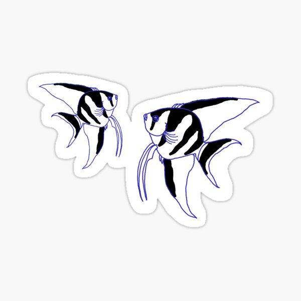 "Black, Blue, and White Angelfish Sticker" Sticker for Sale by ...