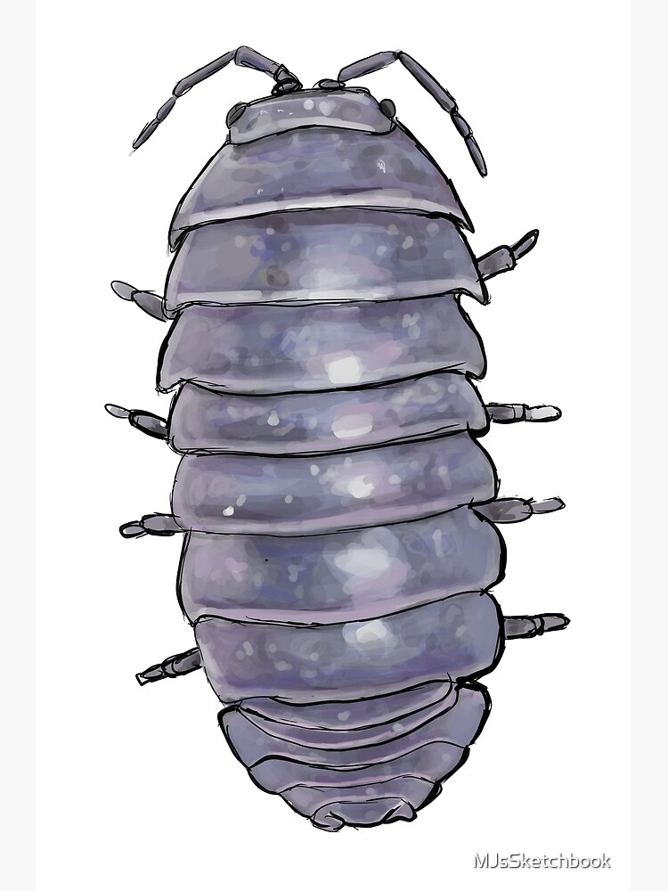 "Roly-Poly Pillbug Insect Bug Illustration Nature Artwork " Poster for ...
