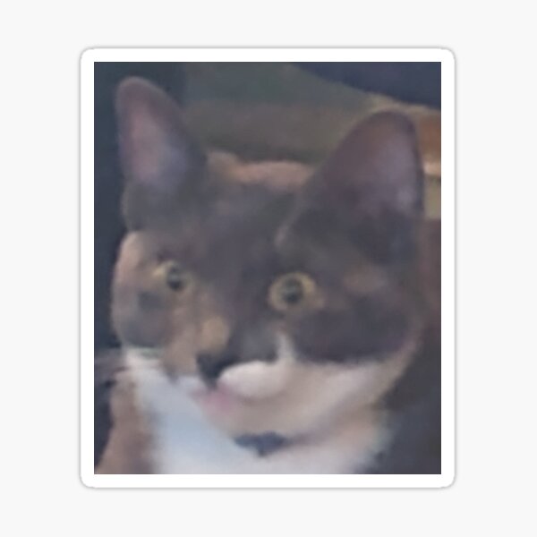 "Shook" Sticker for Sale by DMArtwork | Redbubble