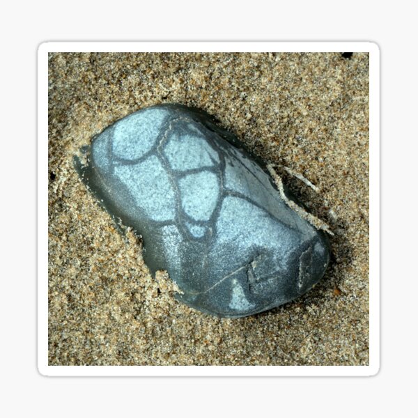 "pebble" Sticker for Sale by KathleenDawson | Redbubble