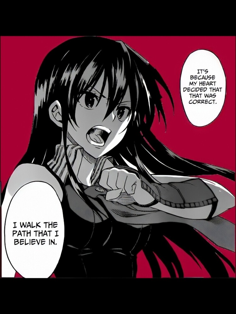 "Akame of Night Raid Tatsumi, Mine, Leone, Najenda" Art Print for Sale ...