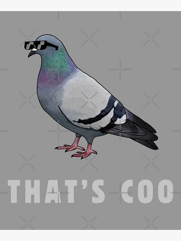 Coo Pigeon Memes Nothing But Pigeons (18 Memes And Tweets) I Can Has