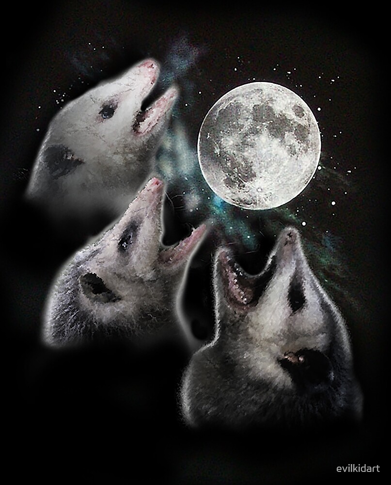 "3 Opossum Moon" by evilkidart | Redbubble