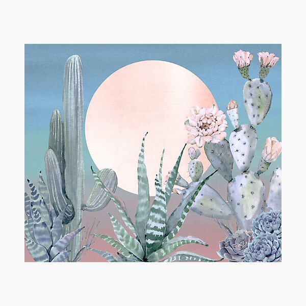 "Cactus Twilight Pretty Pink Rosegold and Blue Desert Cacti ...