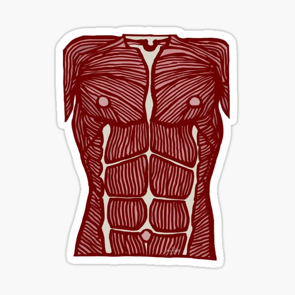 "Best Chest" Sticker for Sale by ParaPrints | Redbubble