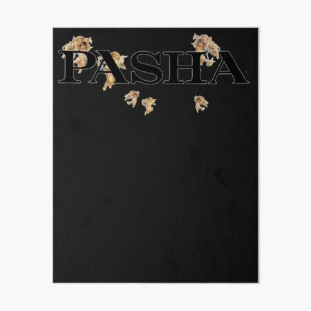 "Pashanim logo" Art Board Print for Sale by LEAHPITT | Redbubble